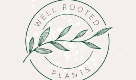 Find Us Locally – Well Rooted Plants